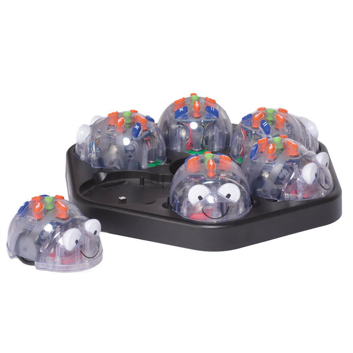 Bee Bots – Haywood Educational Resources