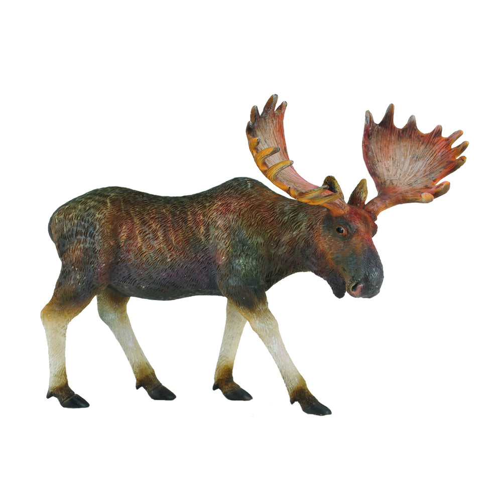 CollectA- Moose – Haywood Educational Resources